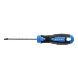 HOGERT Odvijač Torx t15 100 mm - HT1S054