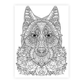 GRAFIX Platno sa printom - 20x15cm - Vuk - 52313