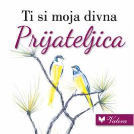 Ti si moja divna prijateljica - 9788662811035