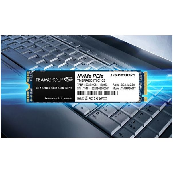 TEAM GROUP TeamGroup M.2 2280 128GB MP33 SSD PCIe TM8FP6128G0C101 - 39131