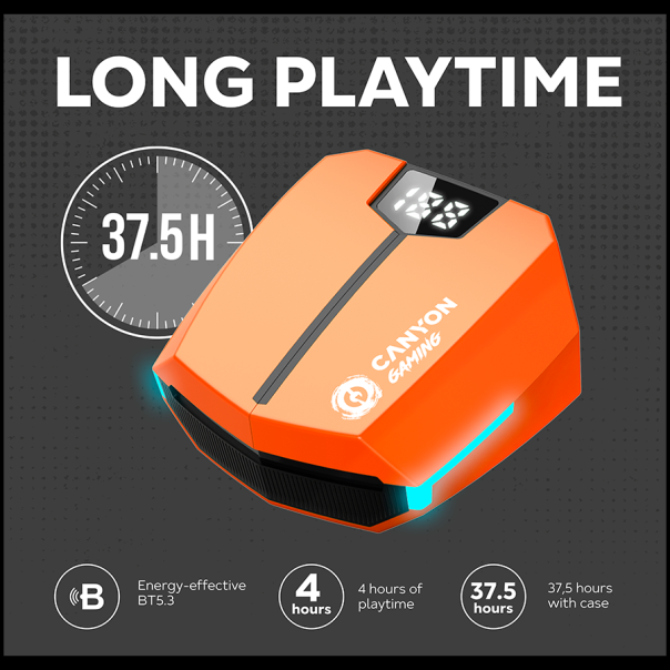 CANYON GTWS-2 - CND-GTWS2B